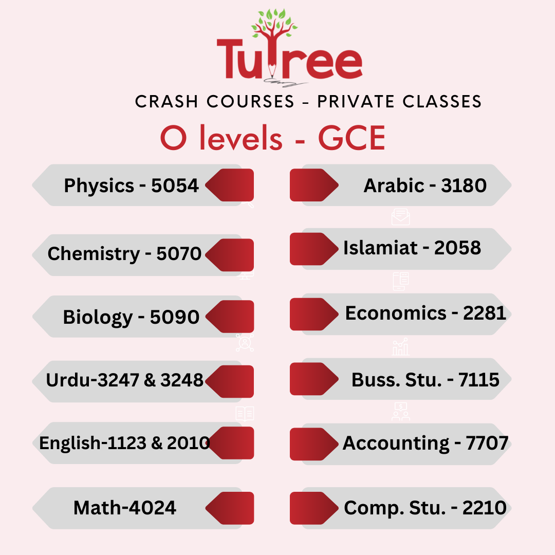 GCE Personalized Crash Courses – Tutree
